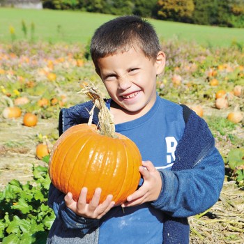 A visit to Bear Wallow Farm - The Interior Journal | The Interior Journal