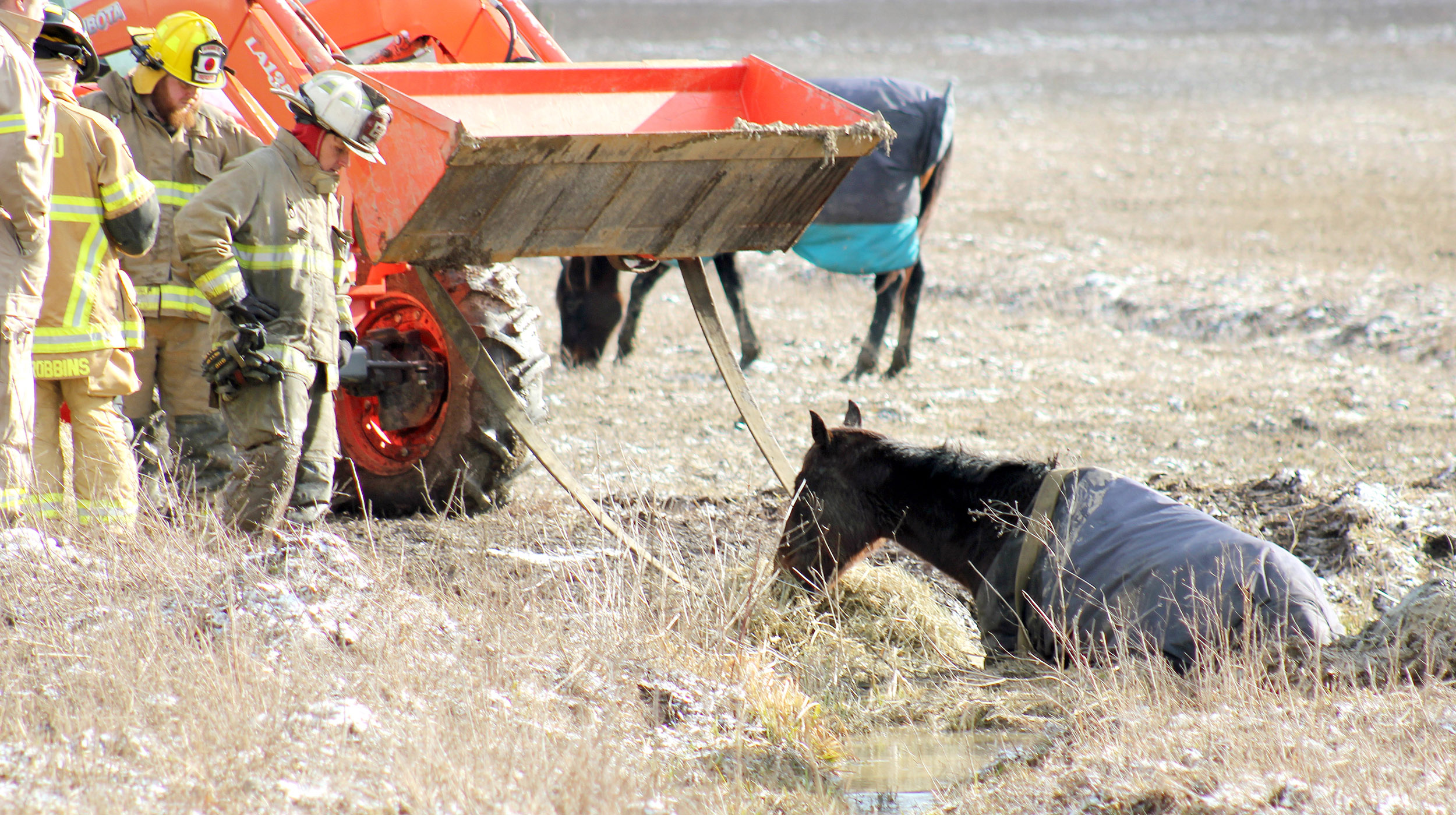 Firefighters rescue horse from mud | The Interior Journal