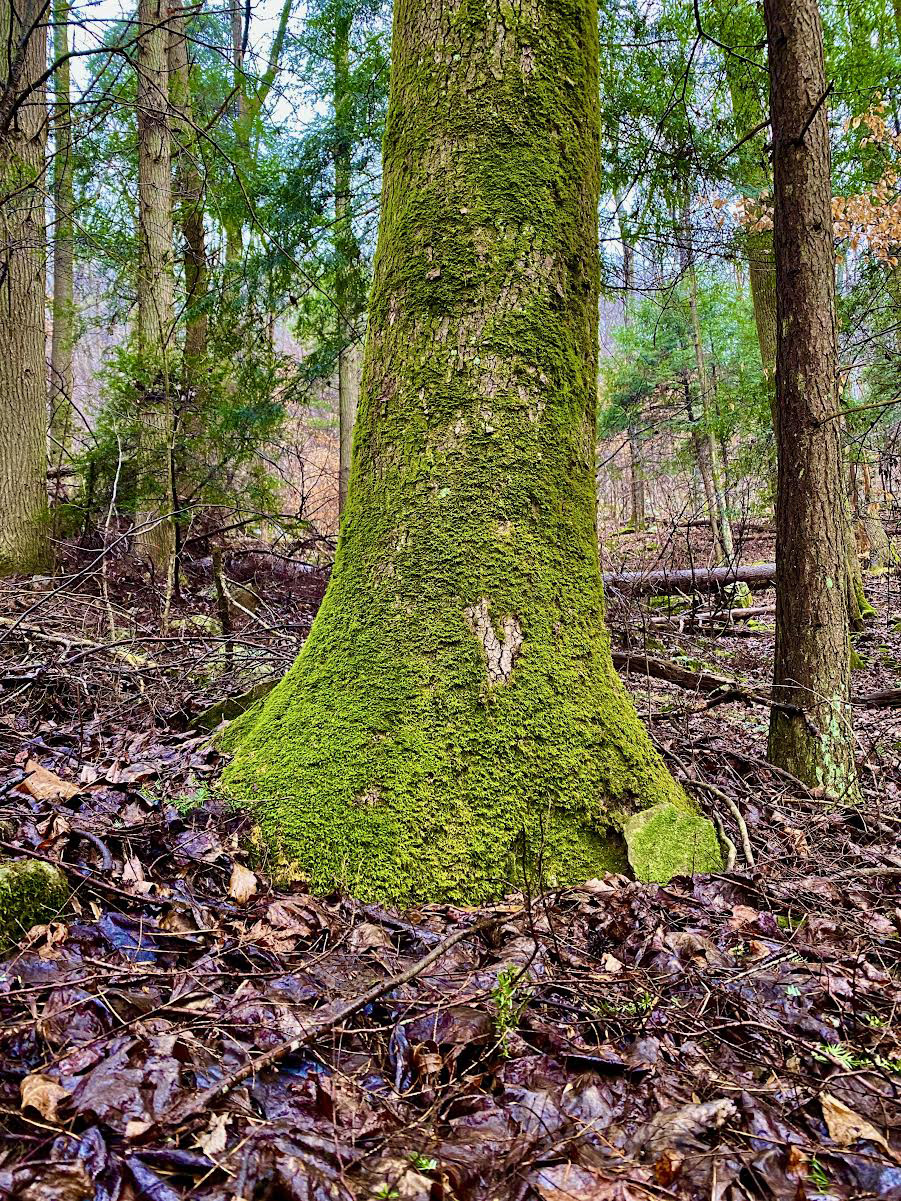 Finding your way | The Interior Journal