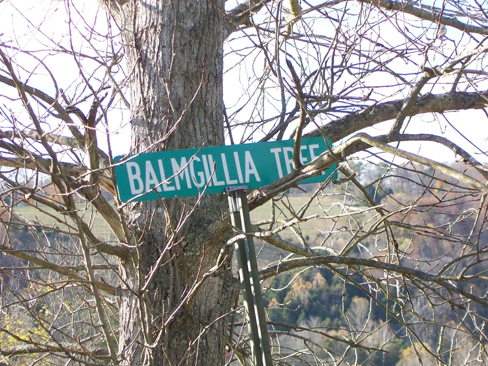 Getting to the bottom of ‘Balm in Gilead’ | The Interior Journal