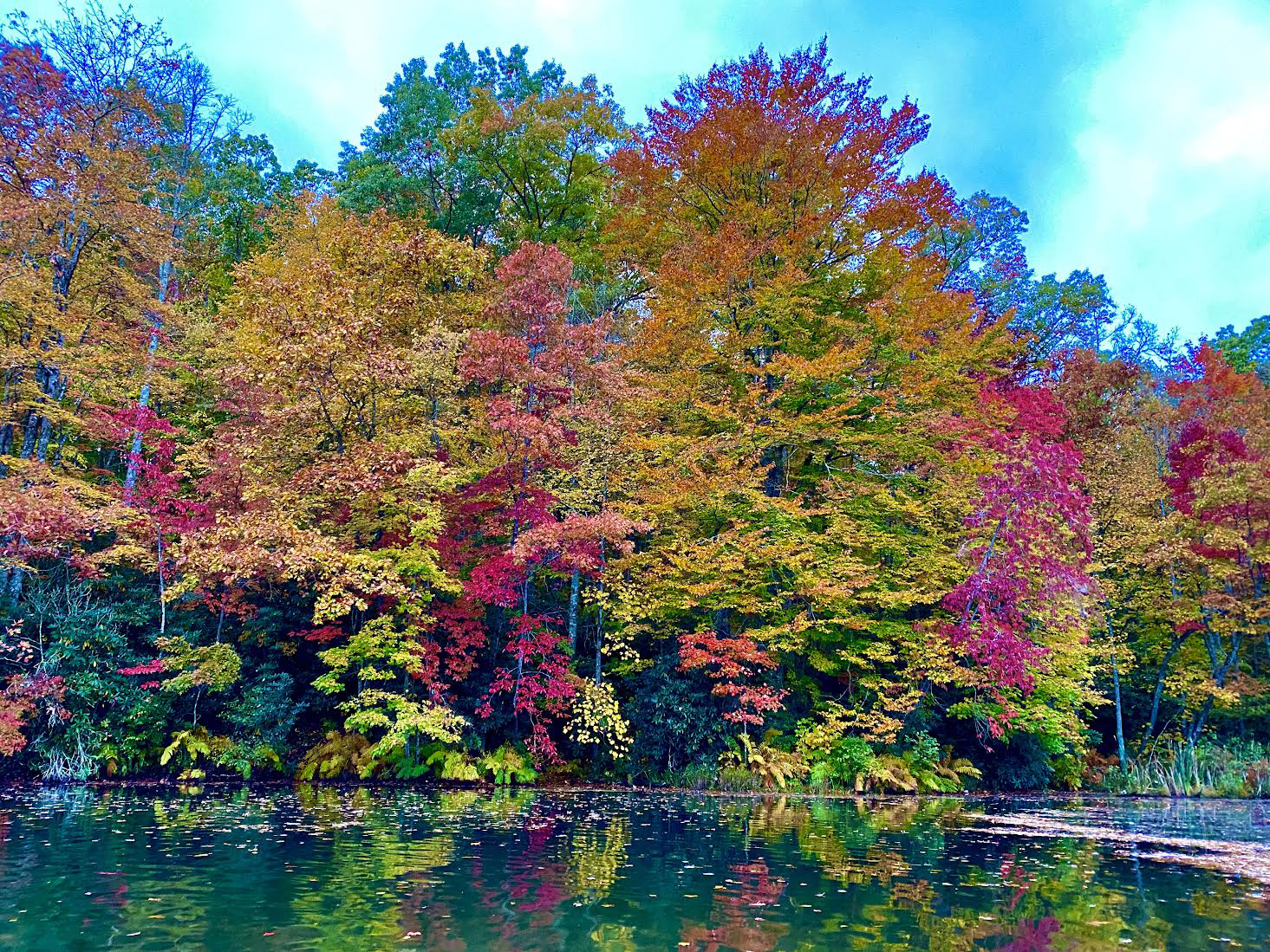 The relationship between weather and fall color | The Interior Journal