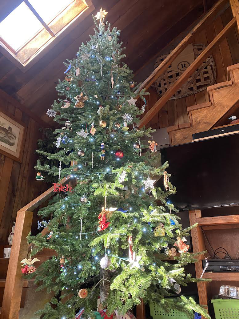 The flora and fauna of Christmas | The Interior Journal